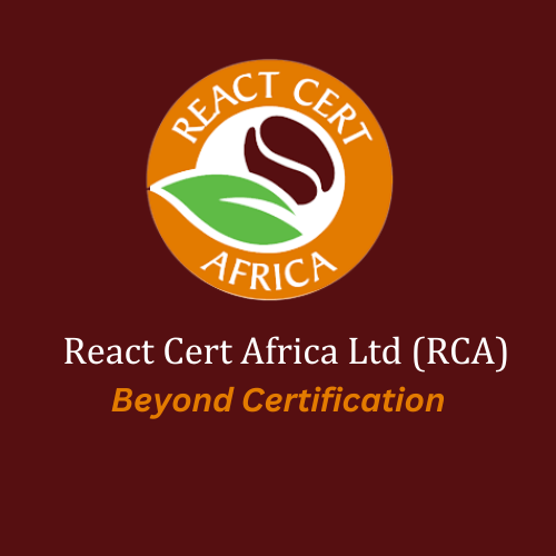 RCA | React Cert Africa Beyond Certification - reactcertafrica.com